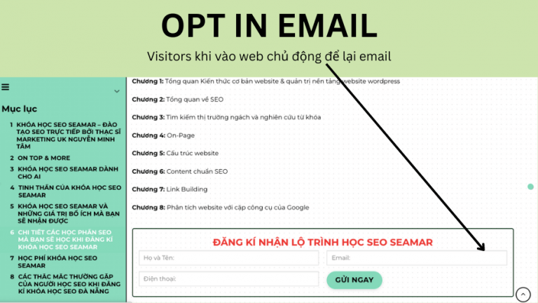 Opt In Email - Công Cụ Tăng New Customers Như Thế Nào? - NCS.TS Nguyễn ...